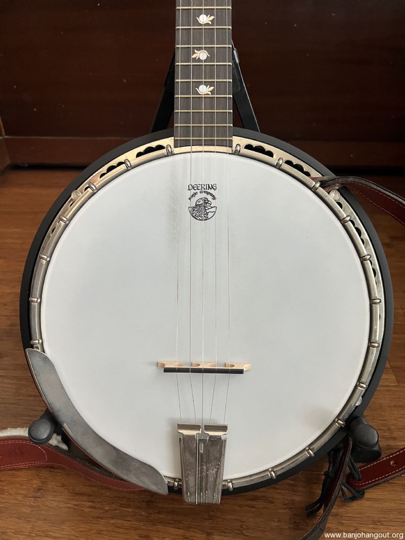 Deering Maple Sierra 5-String Banjo - Used Banjo For Sale at BanjoBuyer.com
