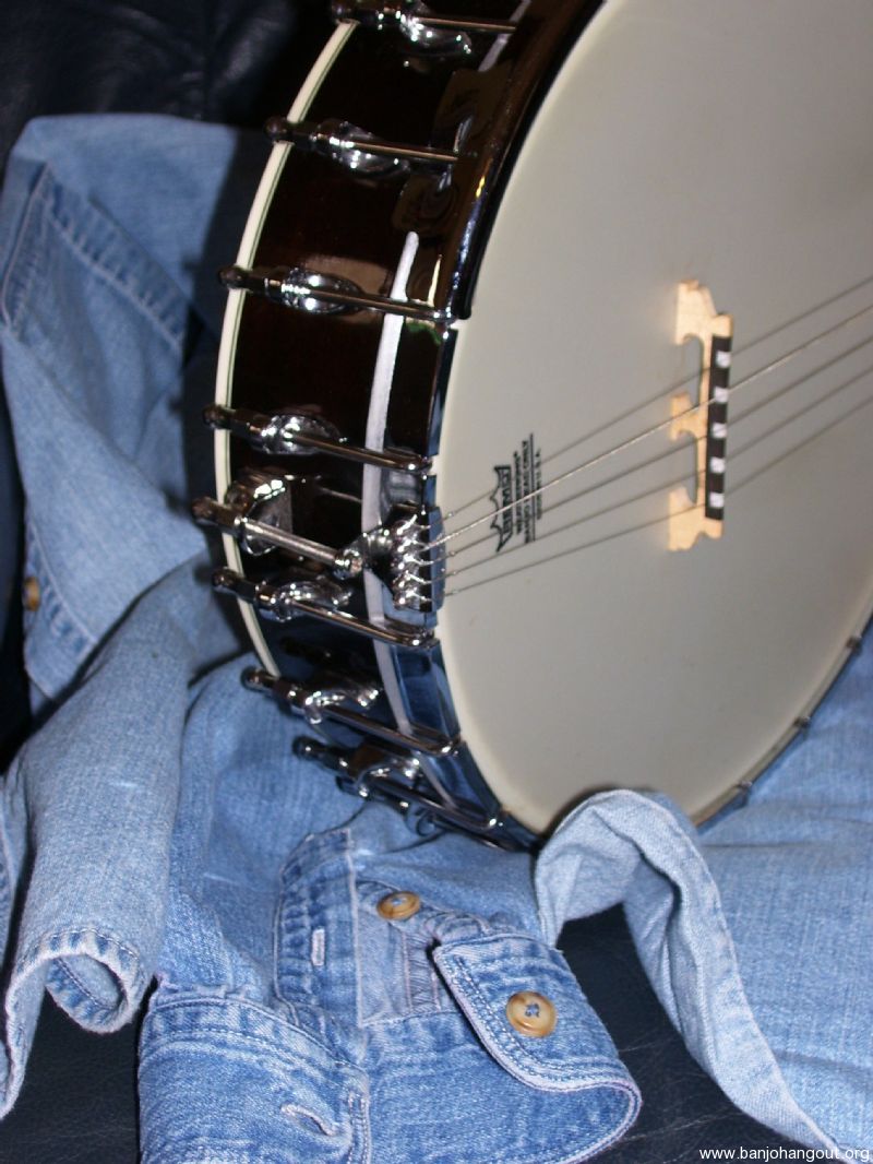For Sale: Gold Tone - White Ladye - Used Banjo For Sale at BanjoBuyer.com
