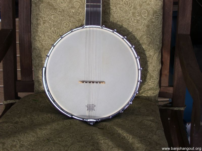 For Sale: Gold Tone - White Ladye - Used Banjo For Sale at BanjoBuyer.com