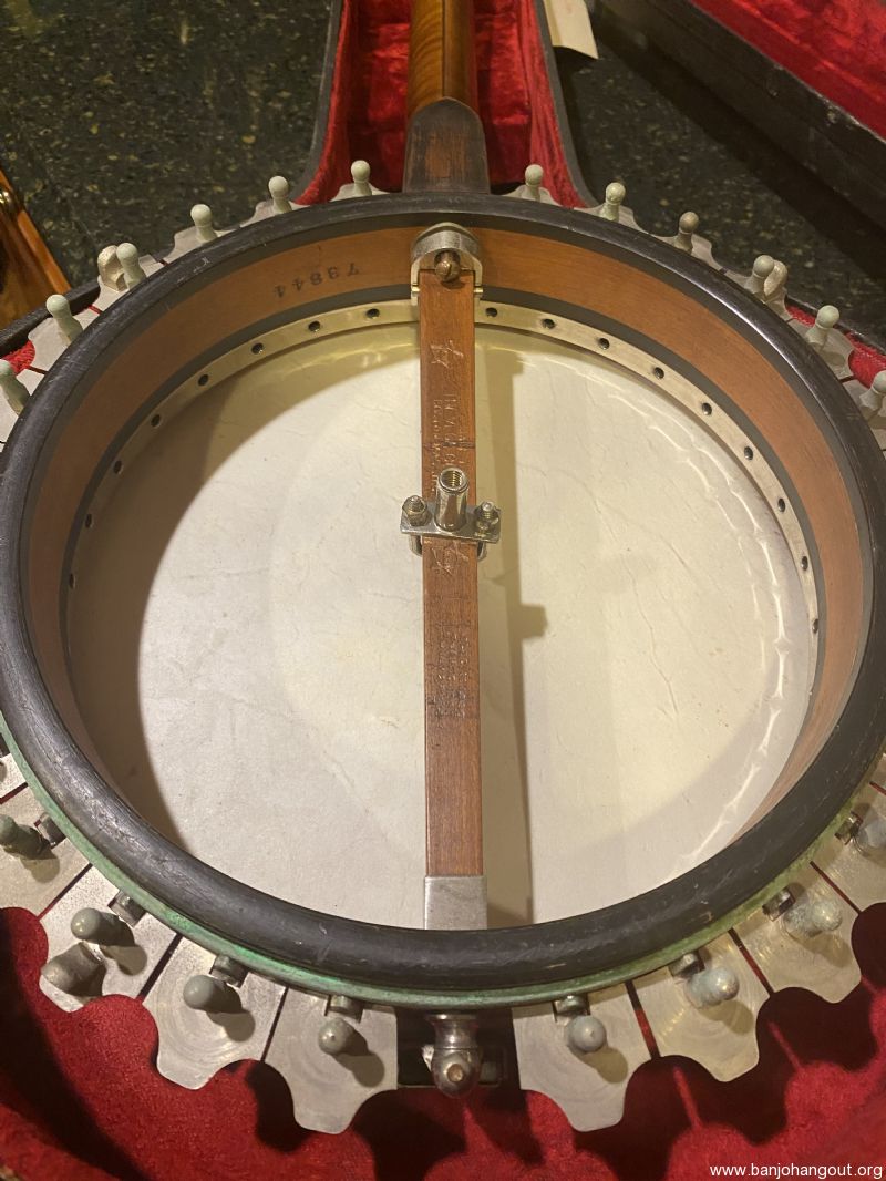 Vega tenor banjo vegaphone professional - Banjo Hangout