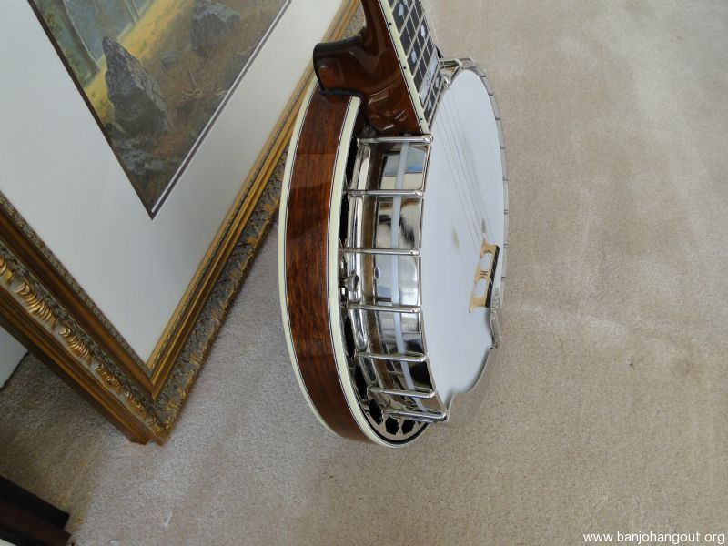 Hopkins Mahogany Standard w/Calton case - Used Banjo For Sale at ...
