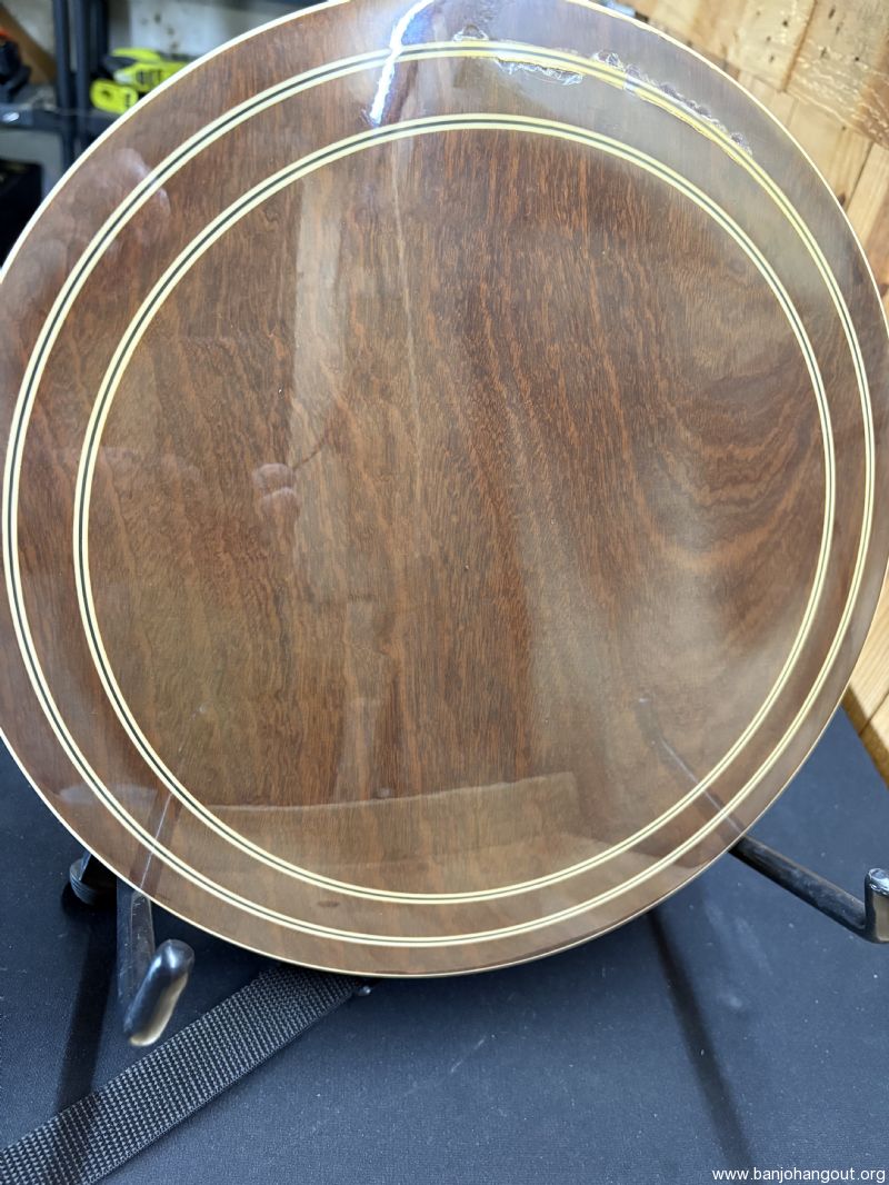 Gold Star GF100FE? - Used Banjo For Sale from Banjo Vault