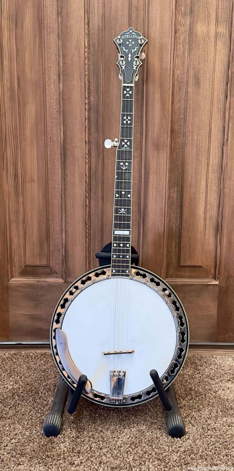Stelling Master Flower Banjo for sale - Used Banjo For Sale at ...
