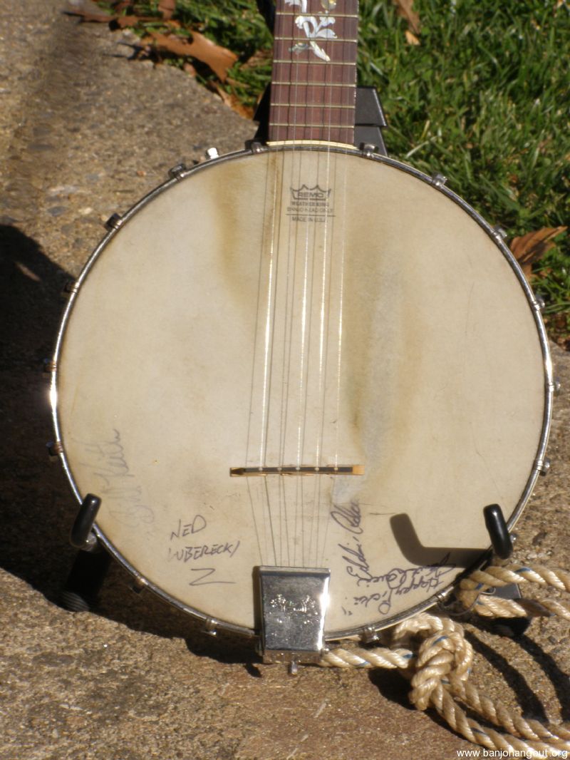 Harmony pot Asian long neck 5-string open back - Used Banjo For Sale at ...