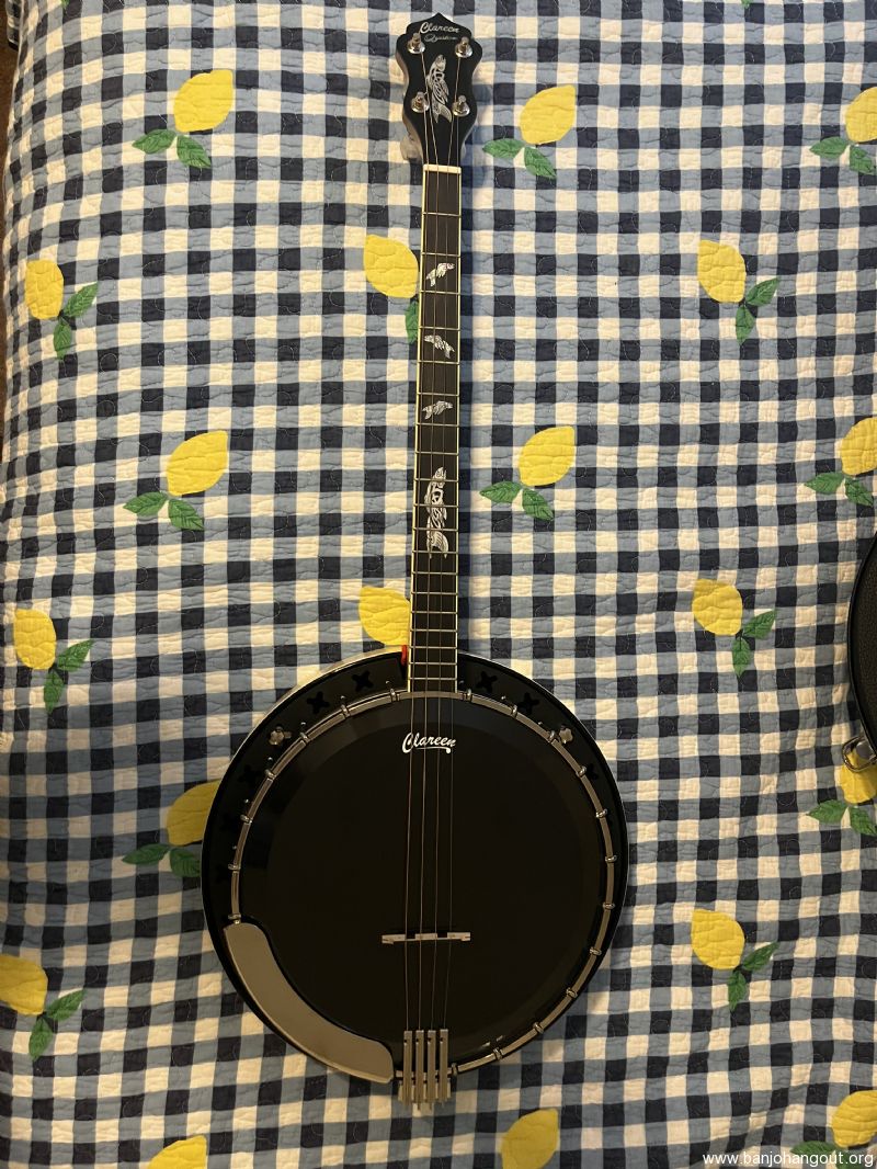 Clareen Oyster Irish Tenor Banjo (like new) - Used Banjo For Sale at ...