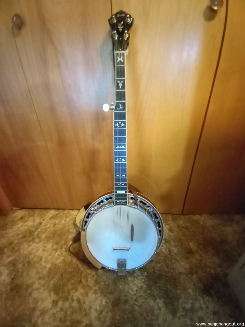 Prucha 5 String Flat Head Banjo 3000 Used Banjo For Sale At