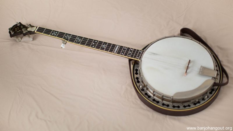 SOLD: Ricky Skaggs 1986 Stelling Sunflower ***road used country band ...