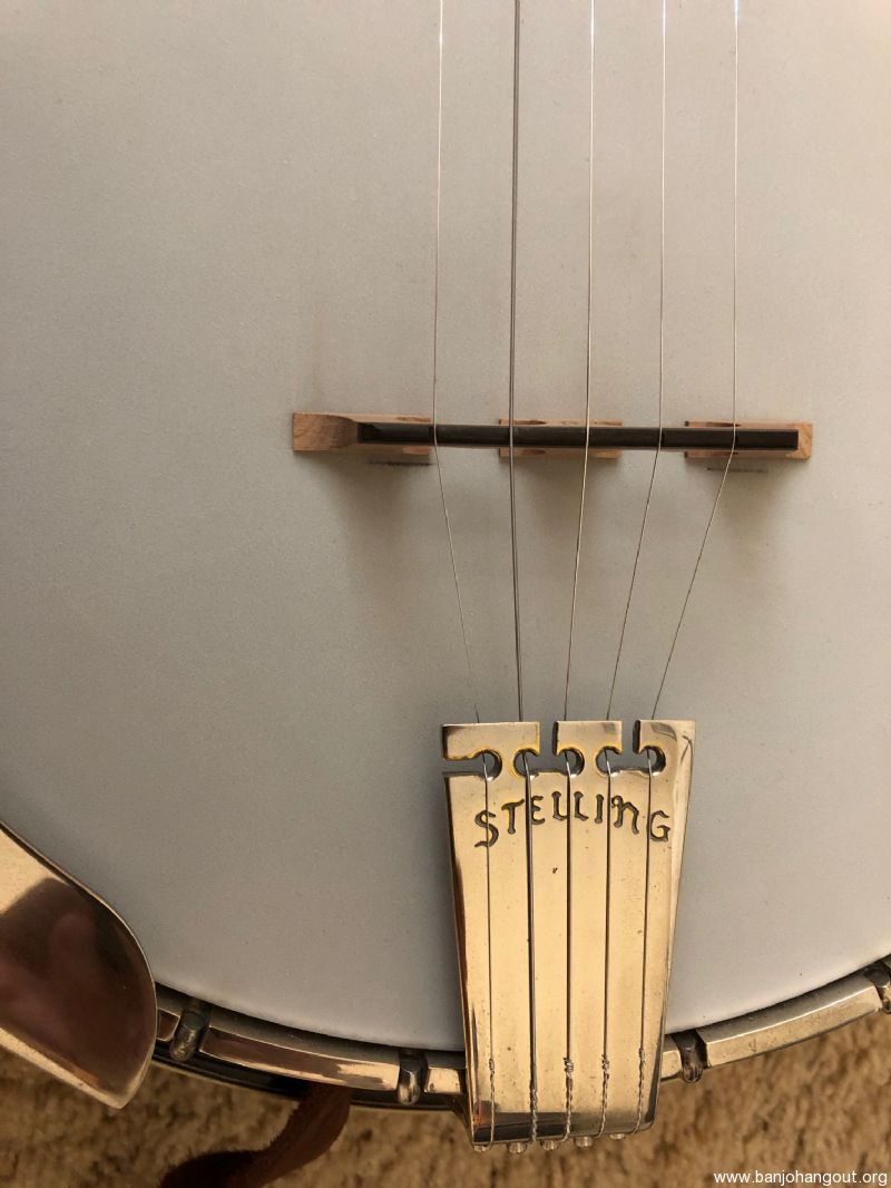 1998 Stelling Staghorn - Used Banjo For Sale at BanjoBuyer.com