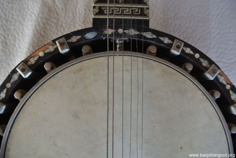 Very Fancy W. Temlett 7-string Zither Banjo - Used Banjo For Sale at ...