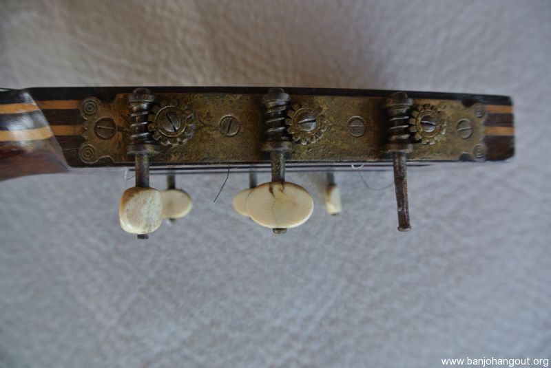 Very Fancy W. Temlett 7-string Zither Banjo - Used Banjo For Sale at ...