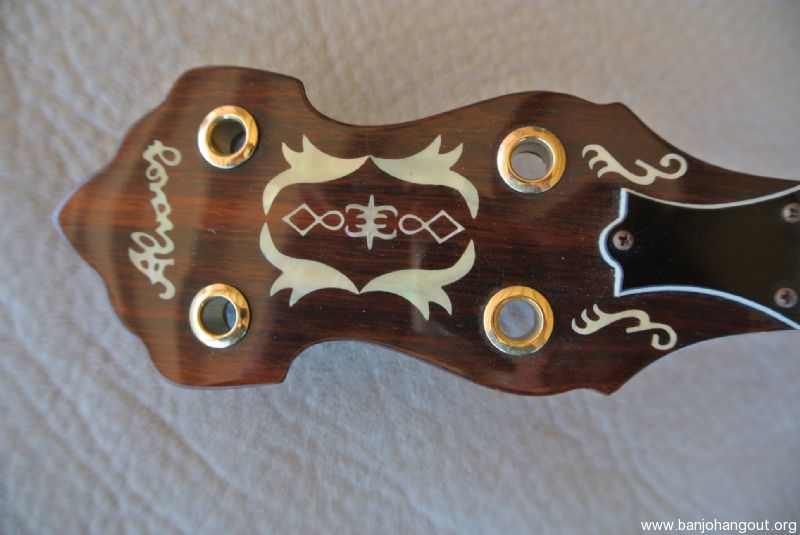 Fancy Alvarez BG Banjo-Now in Kit Form - Used Banjo For Sale at ...