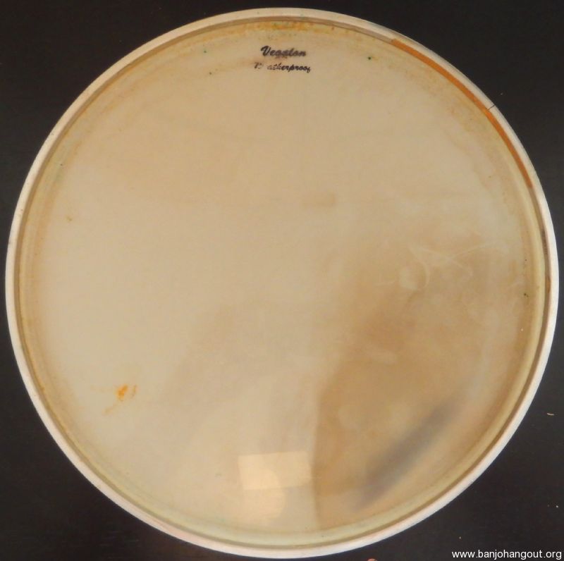 Vegalon (by Remo) Banjo Heads - Banjo Hangout