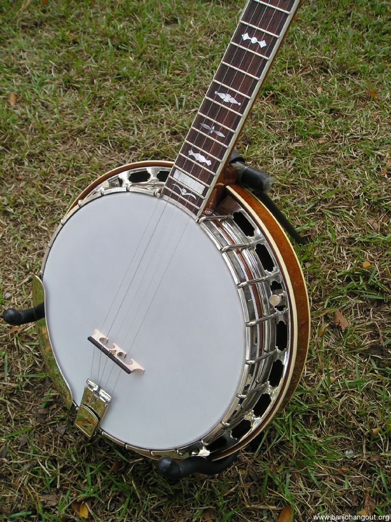 Gold Star GF-85 - Used Banjo For Sale at BanjoBuyer.com