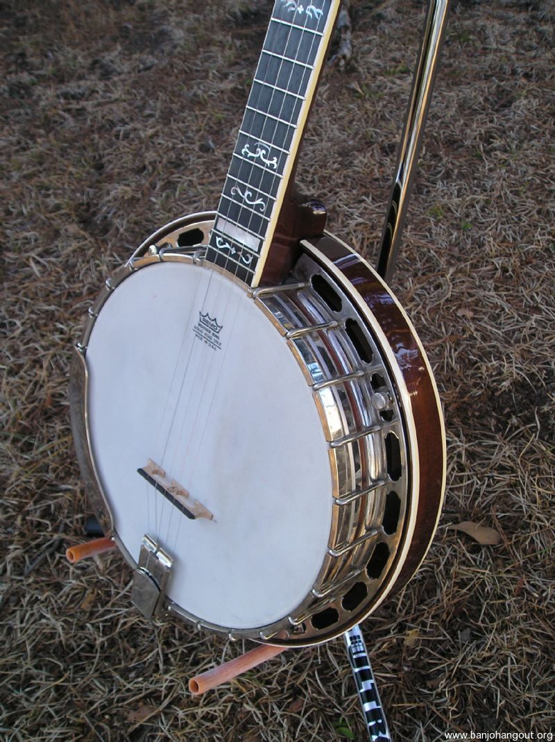 Gold Star Banjo GF-100W - Used Banjo For Sale at BanjoBuyer.com