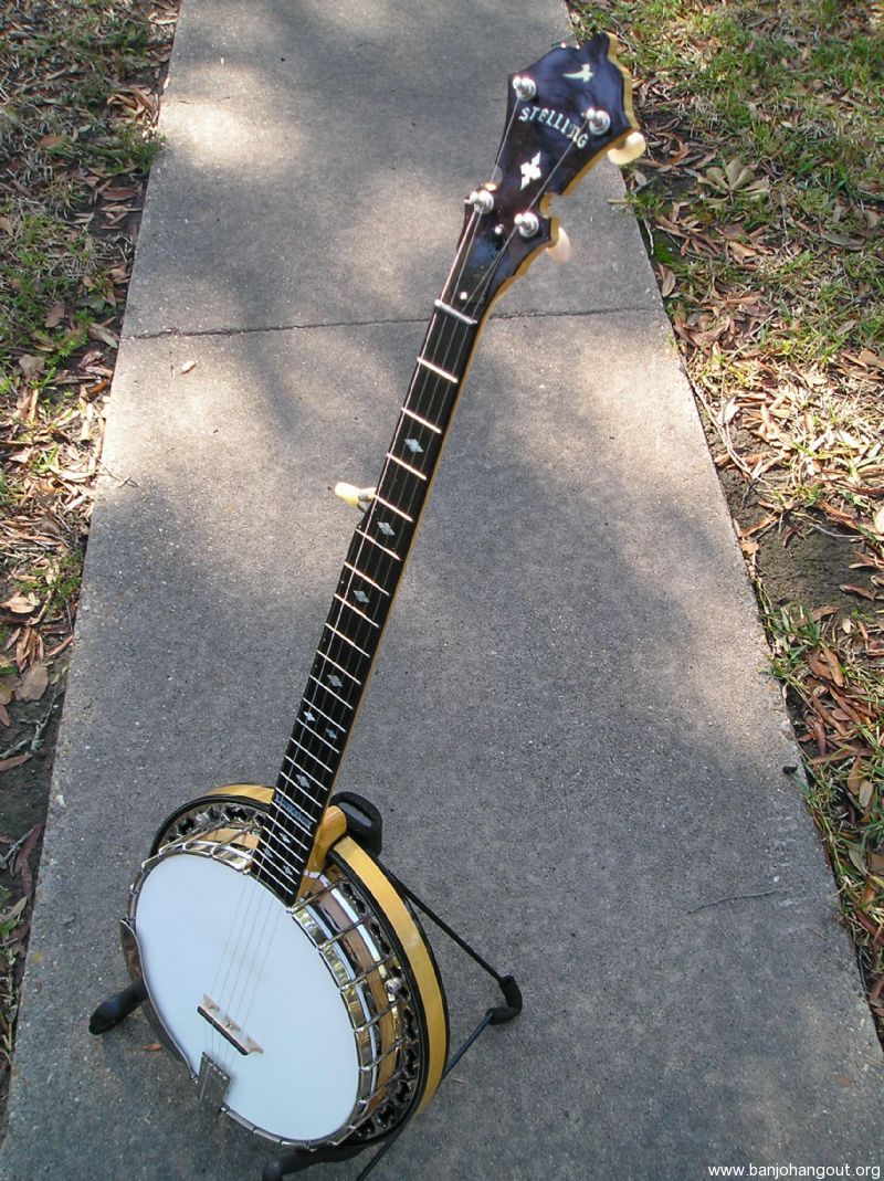 SOLD: 1978 Stelling White Star - Banjo Hangout
