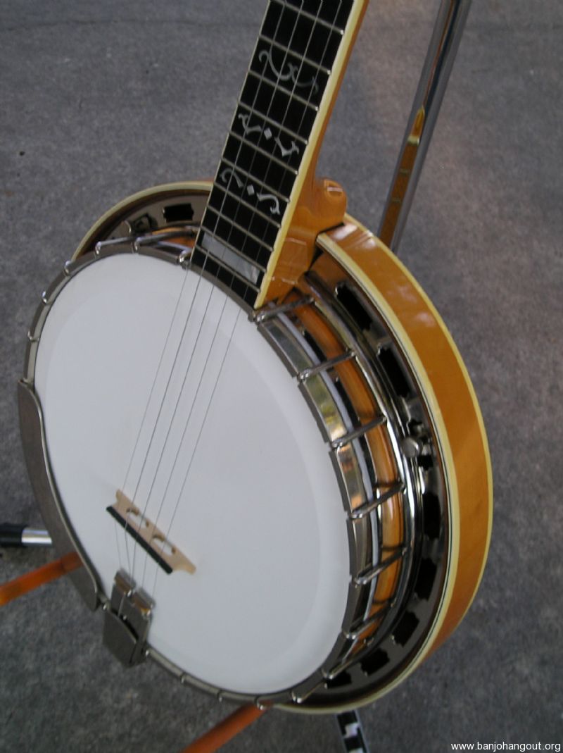 Gold Star G-12W - Used Banjo For Sale from Banjo Vault