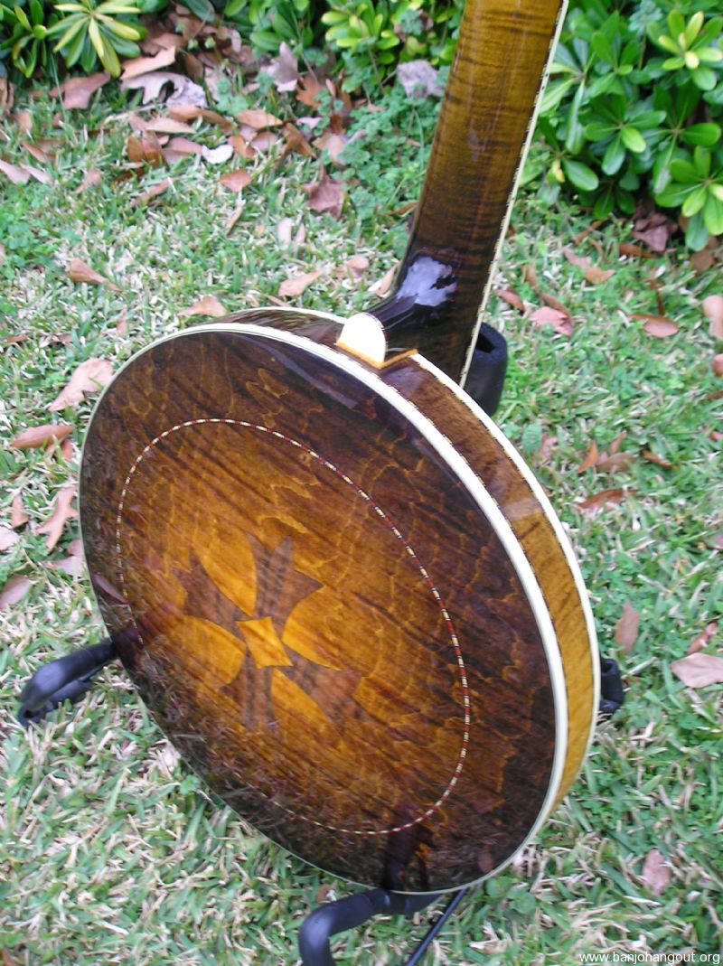 Stelling Golden Cross Custom Banjo - Banjo Hangout