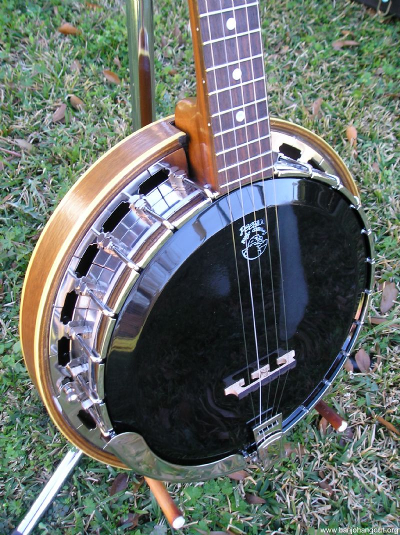 Saga 'Archtop' Banjo with Case - Used Banjo For Sale at BanjoBuyer.com