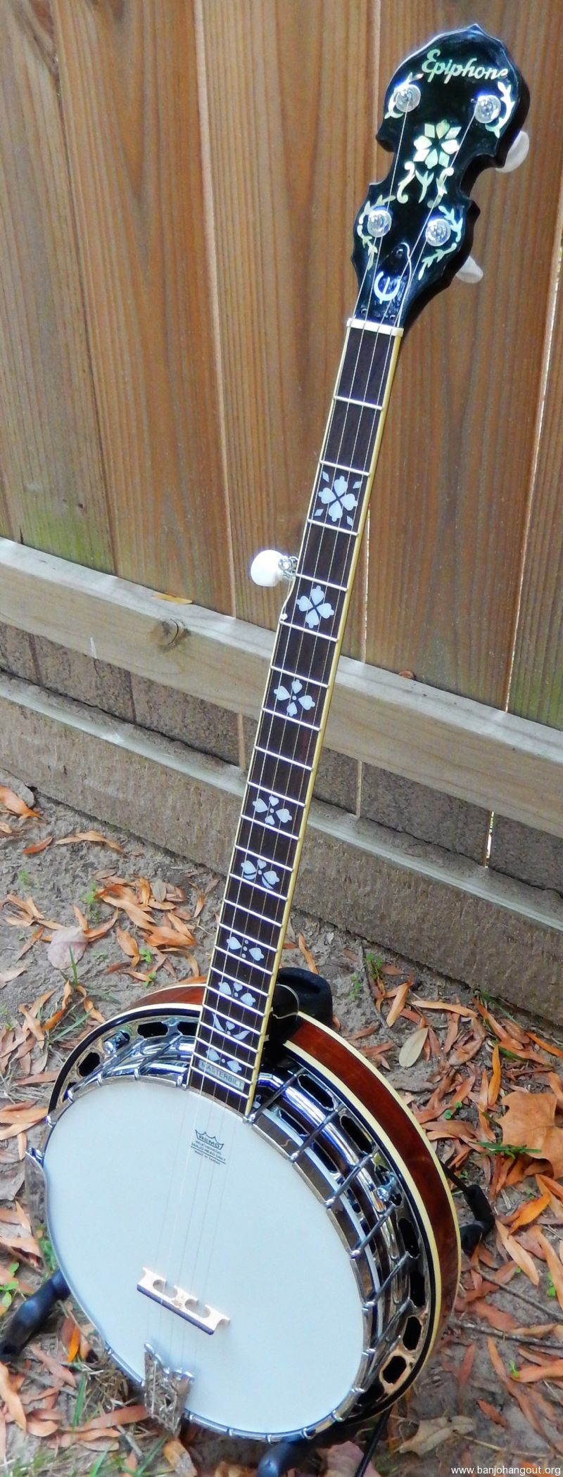 Gibson-Epiphone MB-250 *** SOLD*** - Used Banjo For Sale at BanjoBuyer.com