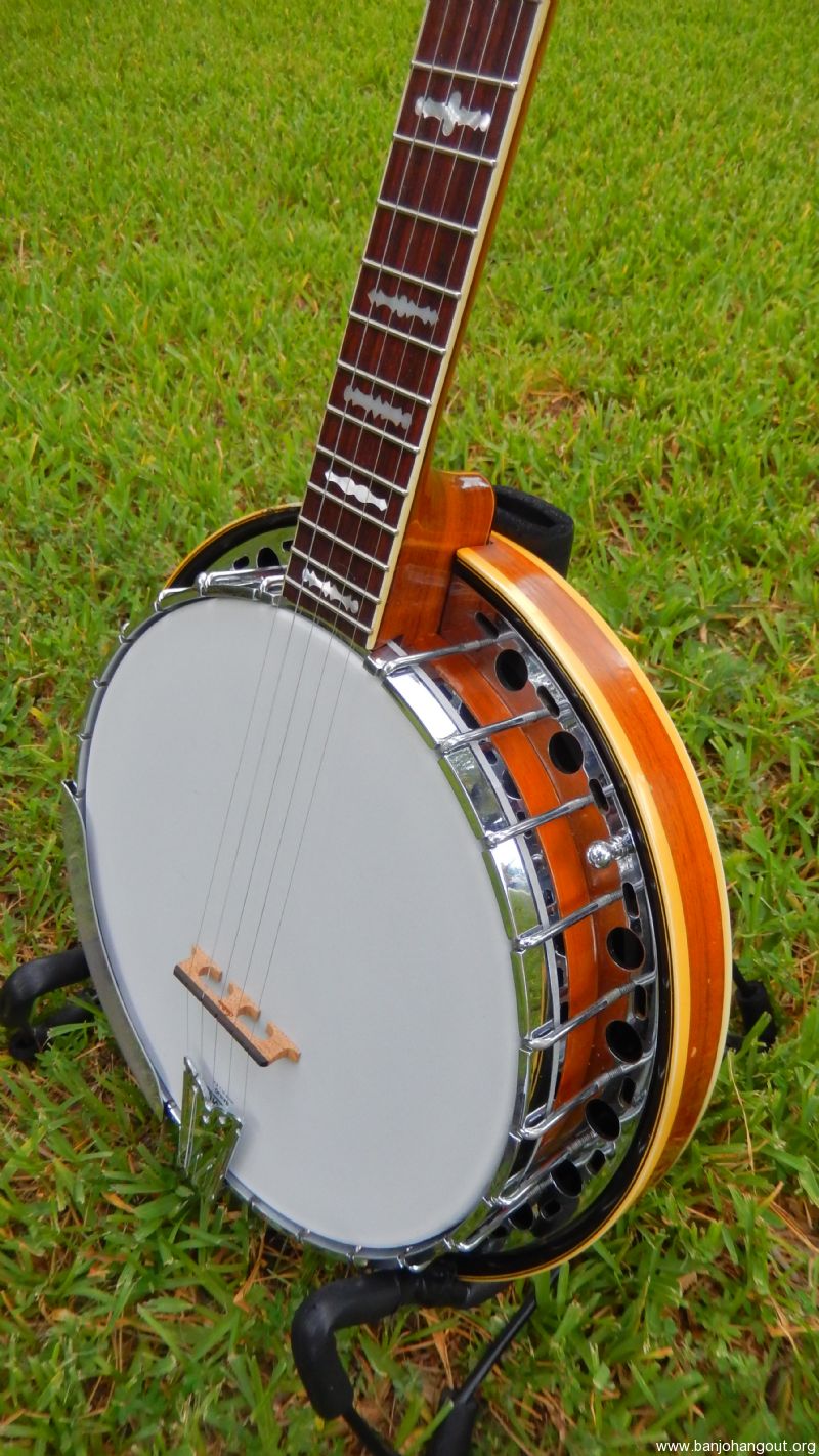 (SOLD) Vintage Fender Artist - Free Shipping! - Used Banjo For Sale at ...