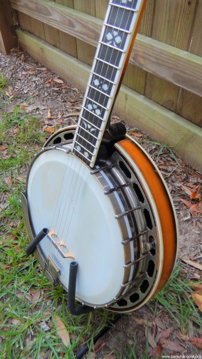 Adjust string height ome banjo - imagebopqe