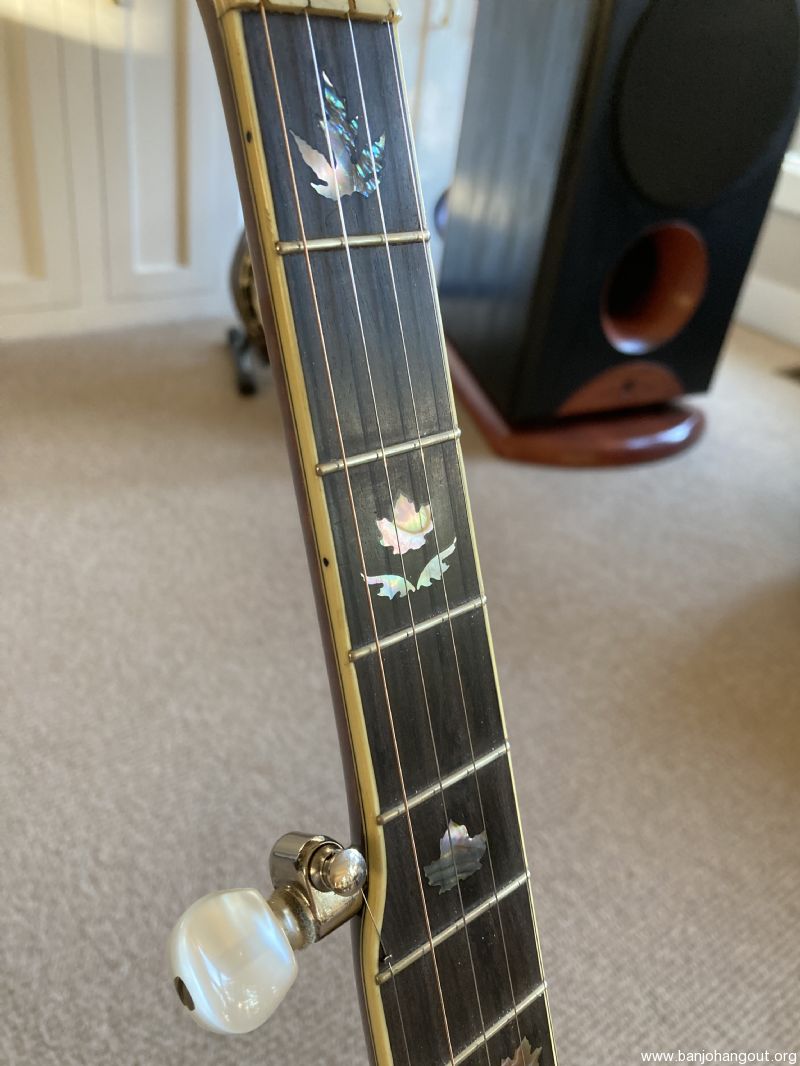 Stelling Red Fox - Used Banjo For Sale at BanjoBuyer.com