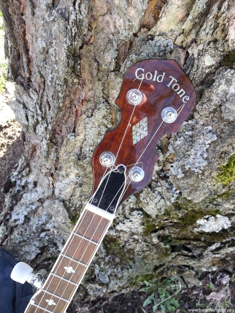 Gold Tone BG-Mini - Used Banjo For Sale at BanjoBuyer.com