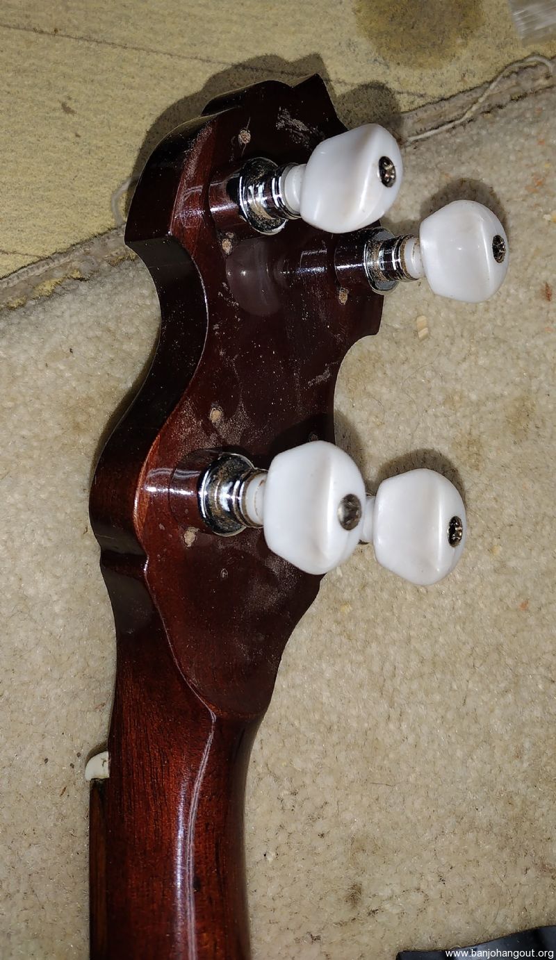 Sigma Open Back 5 String -REDUCED! - Used Banjo For Sale at BanjoBuyer.com