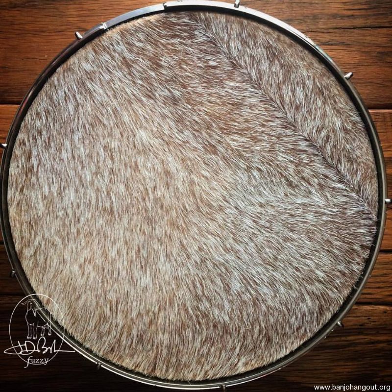 SOLD: ON SALE JDBalch 12” PRE-MOUNTED FuZZy goat skin head - Banjo Hangout