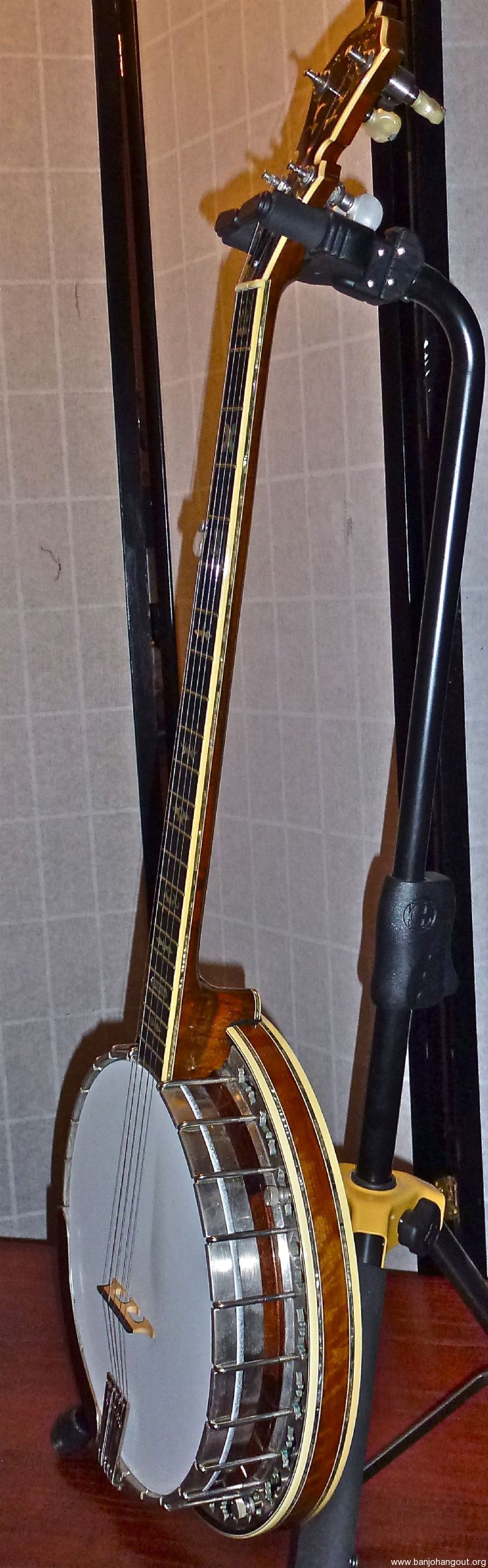 STELLING STAGHORN 5 St. BANJO 1979 - Used Banjo For Sale at BanjoBuyer.com