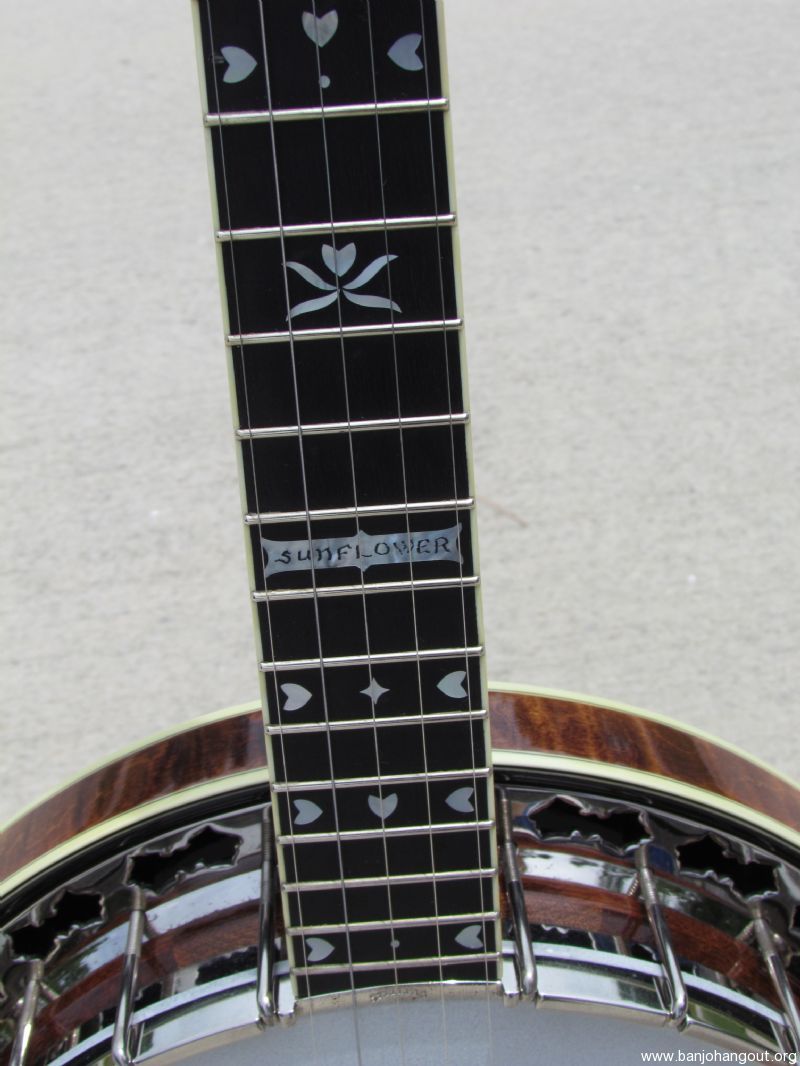 Stelling Sunflower 5 String Banjo with Tony Pass 600TS Rim - Used Banjo ...