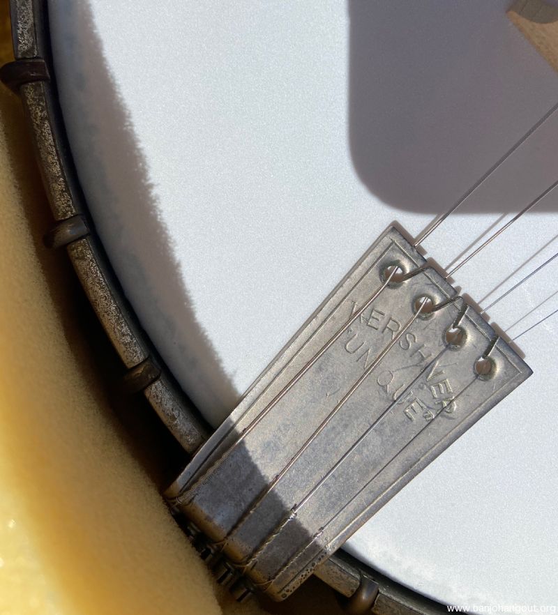 1920 Vega Whyte Laydie Style R Tenor Banjo (SOLD PENDING FUNDS) - Used ...