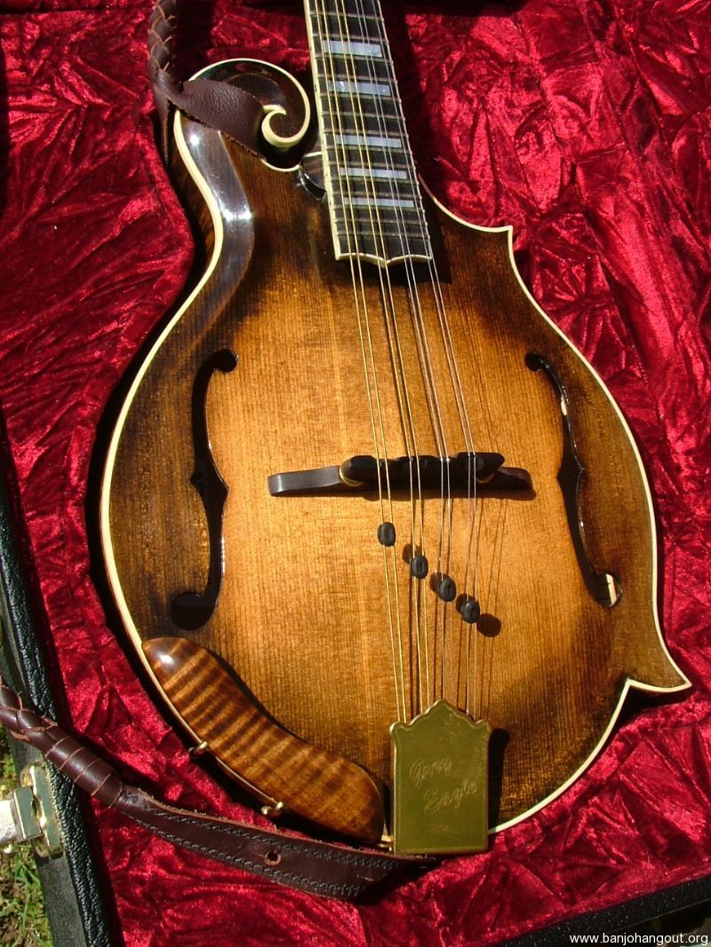 2007 grey eagle sam bush style f-5 mandolin make offer?? - Banjo Hangout