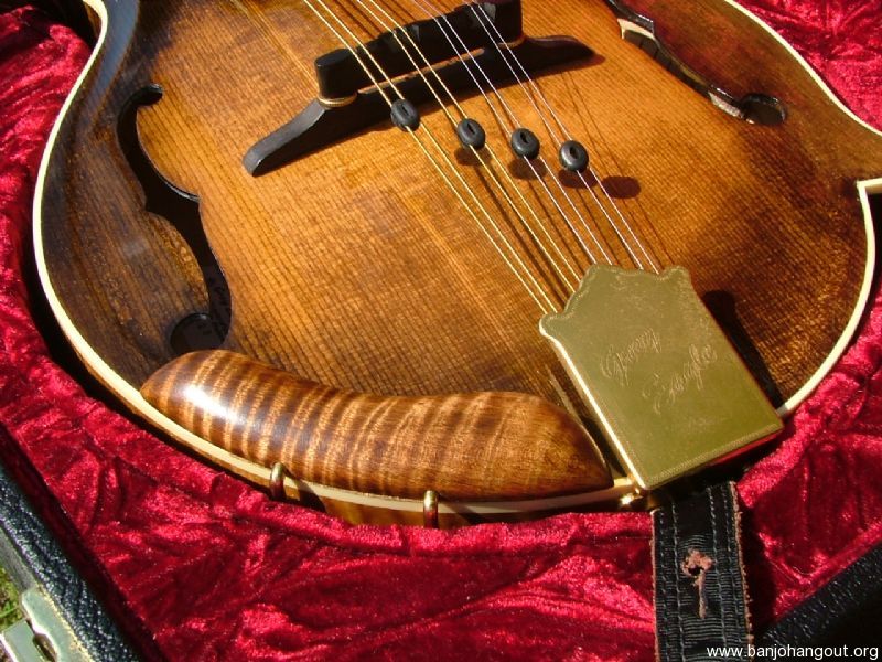 2007 grey eagle sam bush style f-5 mandolin make offer?? - Banjo Hangout