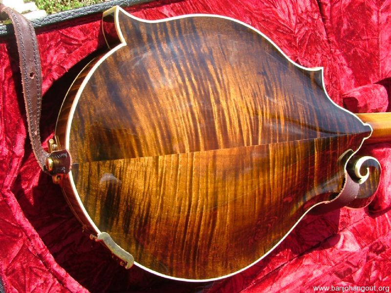 2007 grey eagle sam bush style f-5 mandolin make offer?? - Banjo Hangout