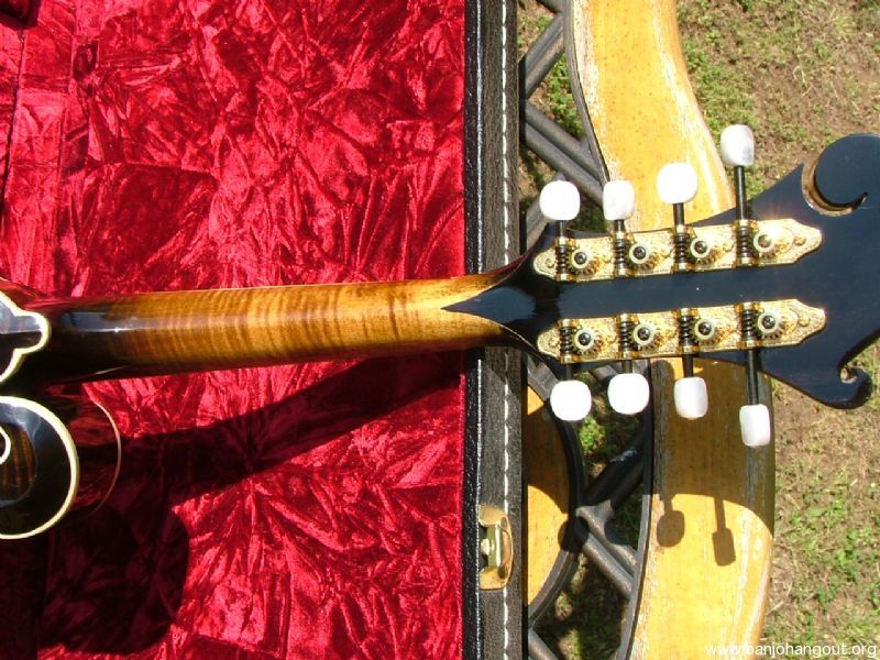 2007 grey eagle sam bush style f-5 mandolin make offer?? - Banjo Hangout
