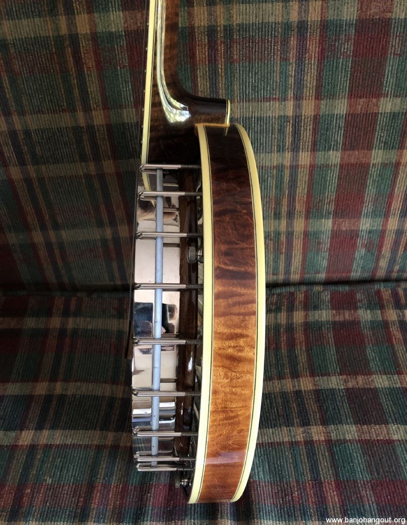 2005 Stelling Sunflower (SOLD PENDING) - Used Banjo For Sale from Banjo ...