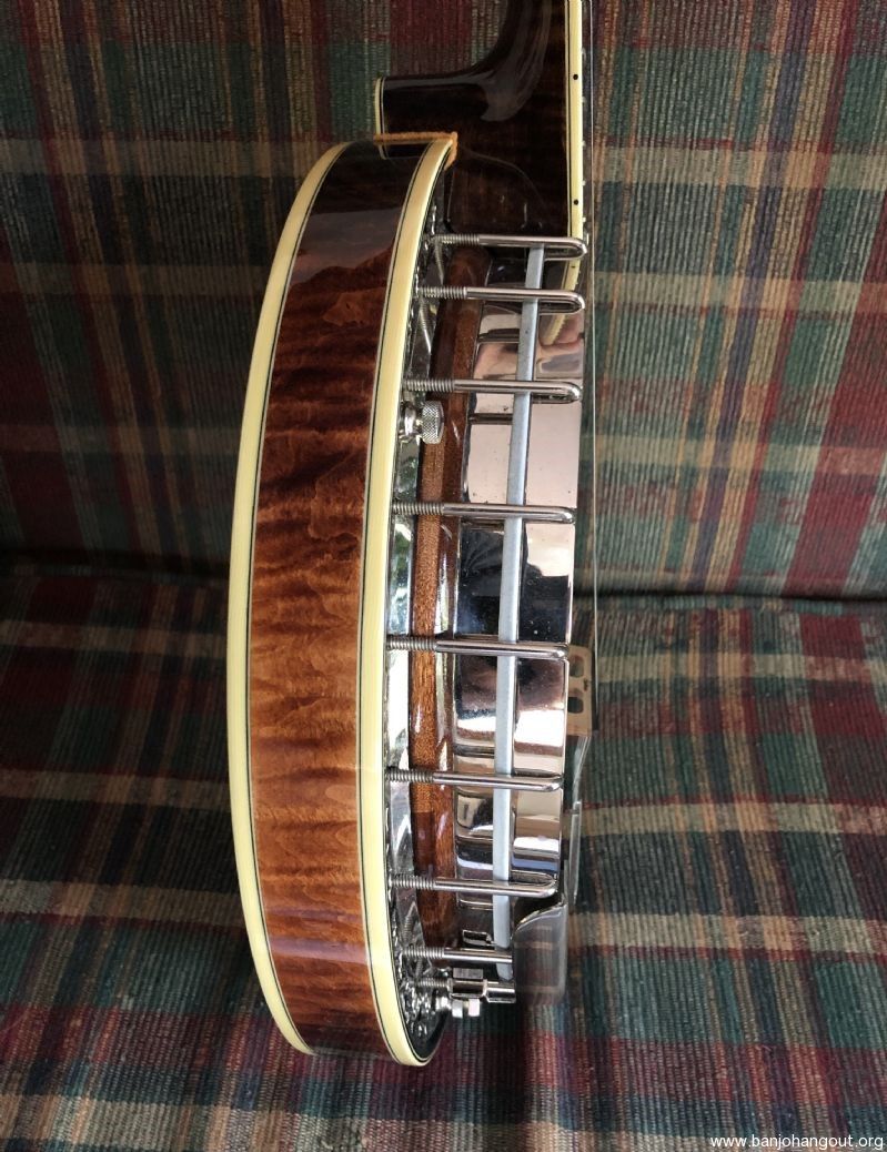 2005 Stelling Sunflower (SOLD PENDING) - Used Banjo For Sale from Banjo ...
