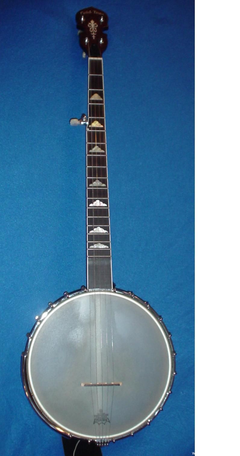 GOLD TONE WL250 White Ladye Openback Banjo SOLD (awaiting funds) - Used ...