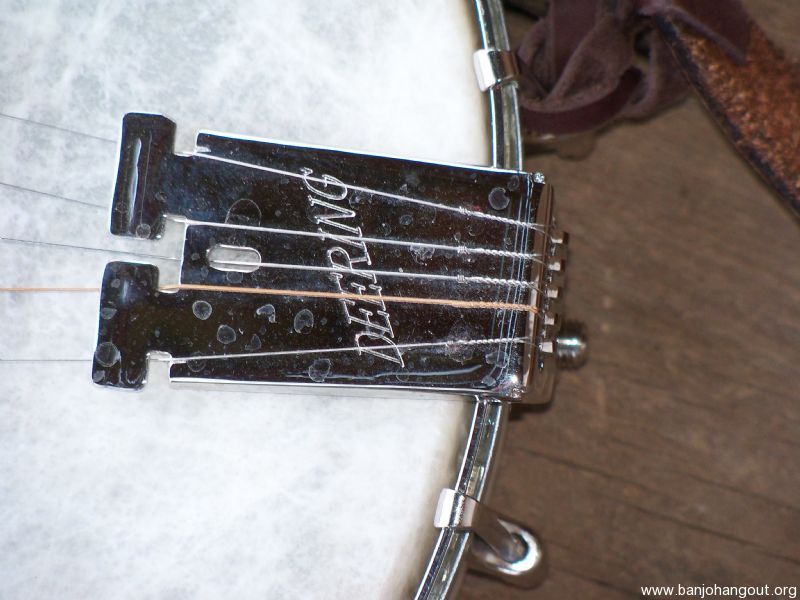 Goodtime Parlor (Short Scale) Banjo, 5 String - Used Banjo For Sale at ...