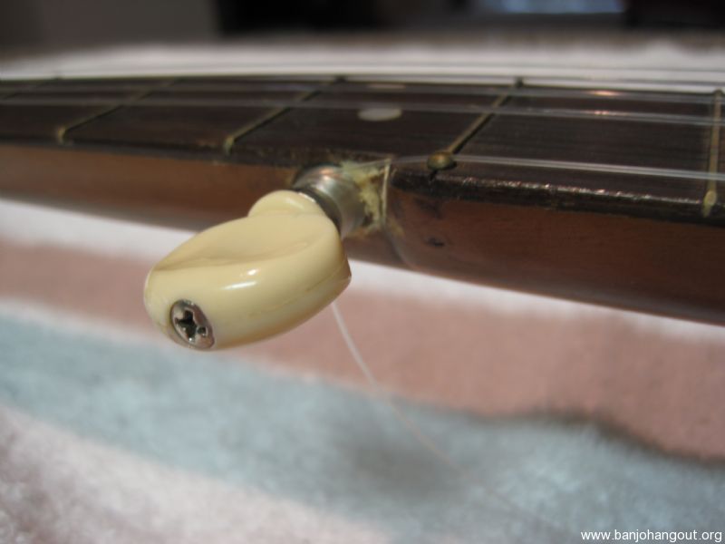 Supertone 5string OB Good shape + Hooks' Banjo Thimble - Used Banjo For ...