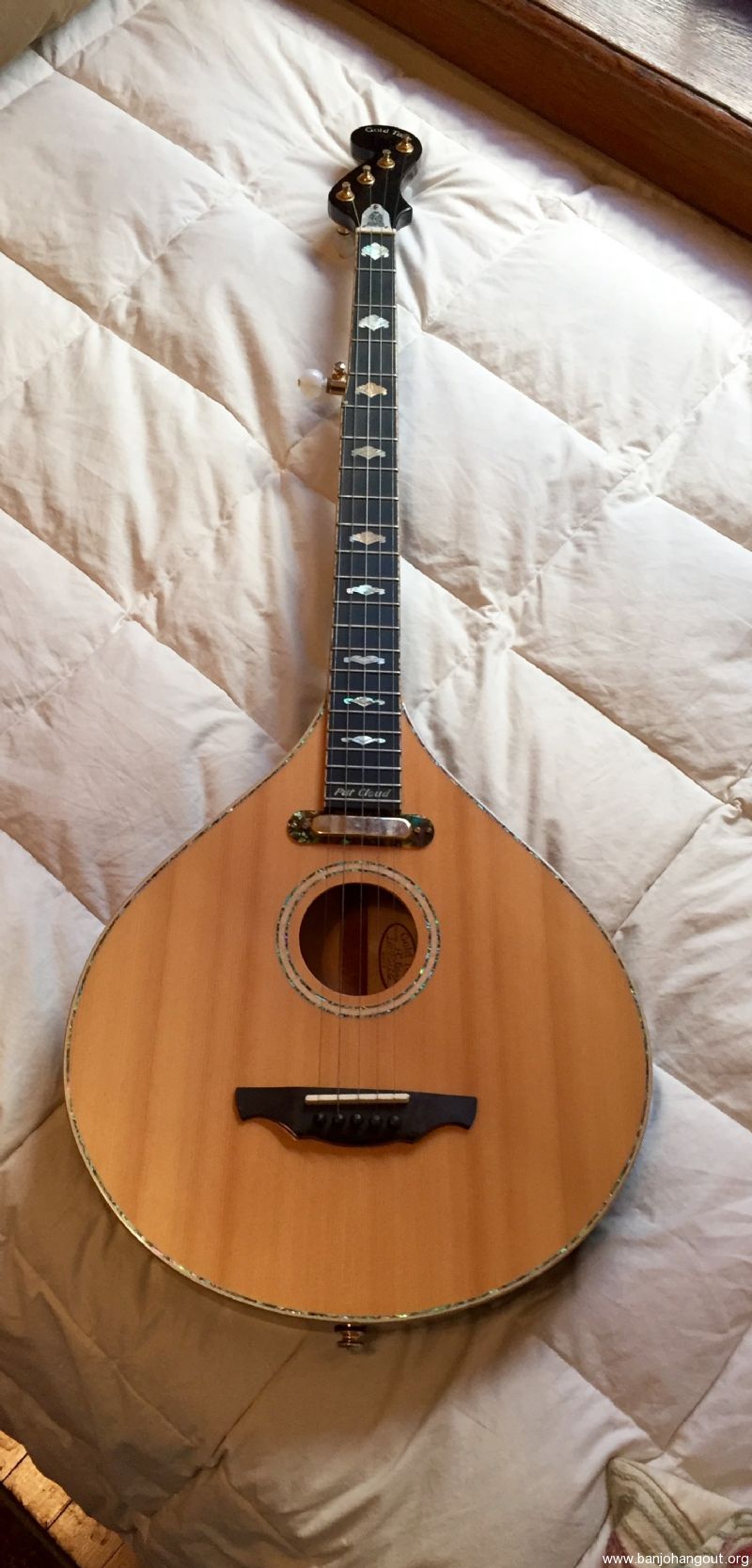 Pat Cloud Banjola by Gold Tone, PRICE LOWERED> NOW $650 - Used Banjo ...