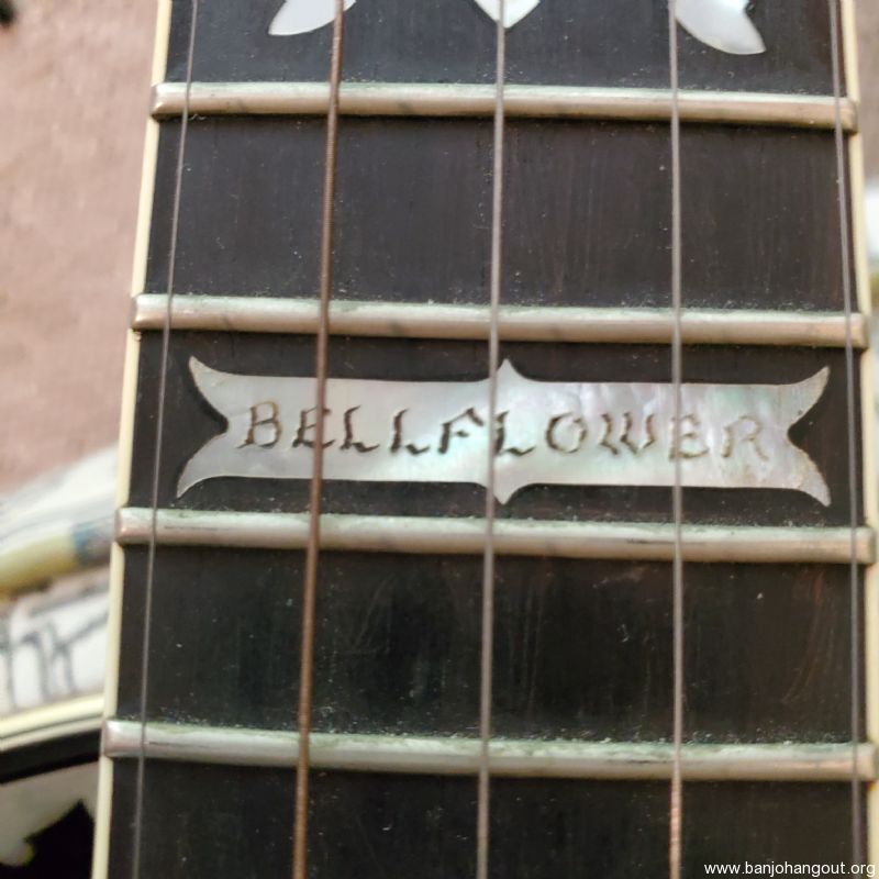 For Sale - SOLD Stelling Bellflower, Walnut, with Keith Tuners