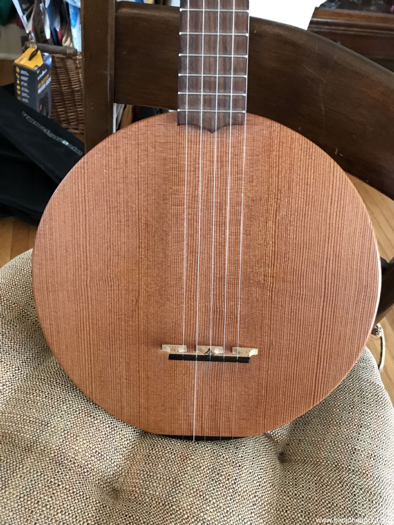 Terry Mead 5-String Cedar Top Banjo - C Scale - On Hold - Used Banjo ...