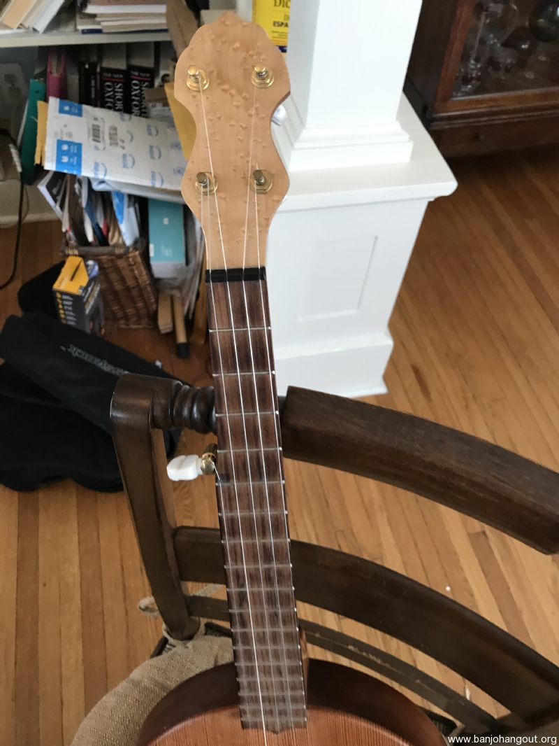 Terry Mead 5-String Cedar Top Banjo - C Scale - On Hold - Used Banjo ...