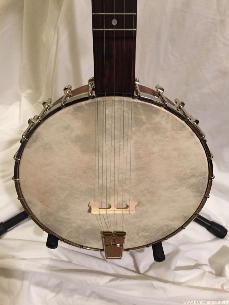 Recording King RK-OT25 Openback - Used Banjo For Sale at BanjoBuyer.com
