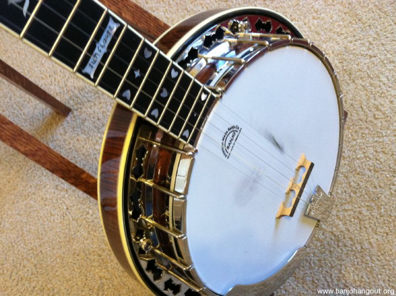 Stelling Sunflower - Excellent - 2011(?) or newer! - Used Banjo For ...