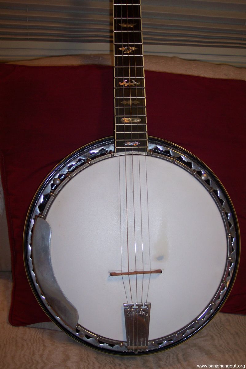 2002 Stelling Staghorn 5-string banjo - Used Banjo For Sale at ...