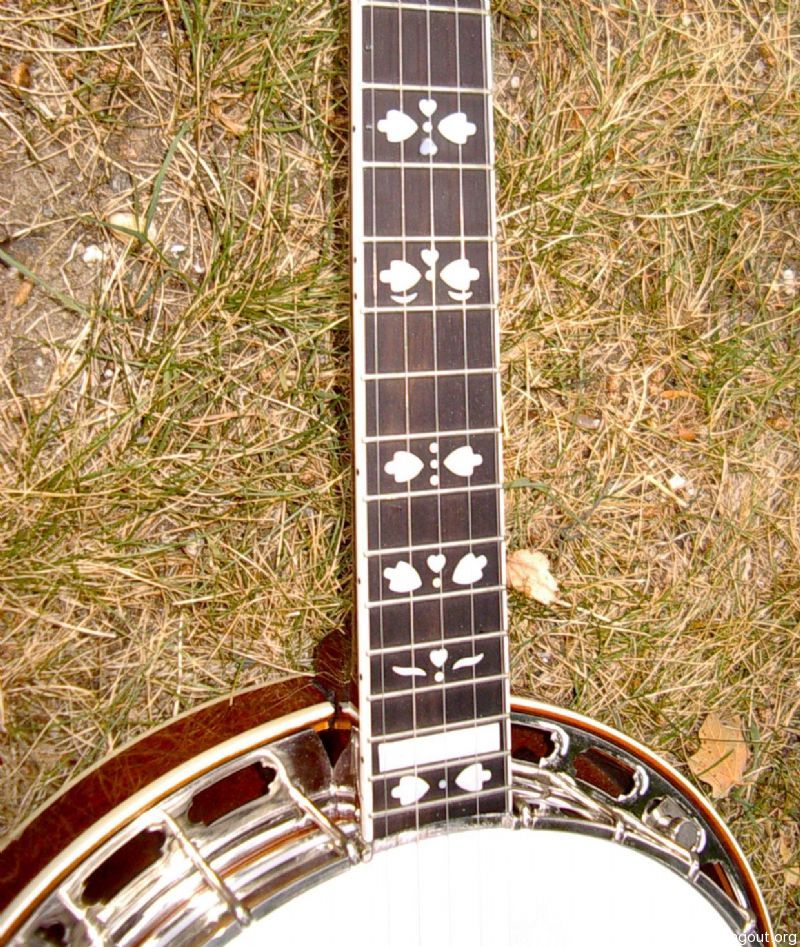 Gold Star Banjo GF-100 - Used Banjo For Sale at BanjoBuyer.com