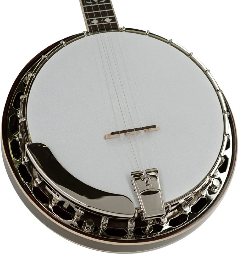 Recording King - Songster RK-R20 Banjo - Banjo Hangout